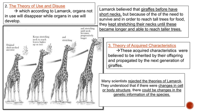Theories of evolution | PPTX