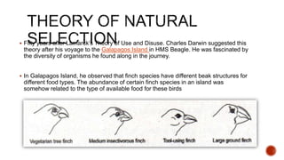 Theories of evolution | PPTX