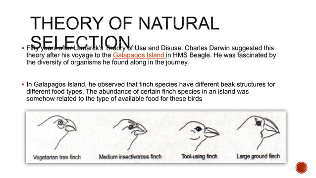 Theories of evolution | PPTX