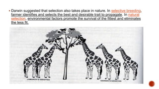 Theories of evolution | PPTX