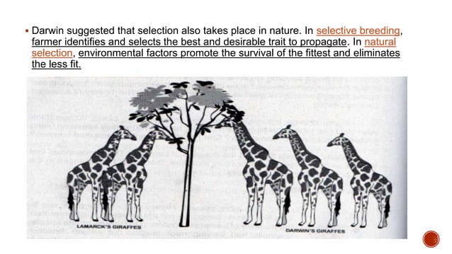 Theories of evolution | PPTX