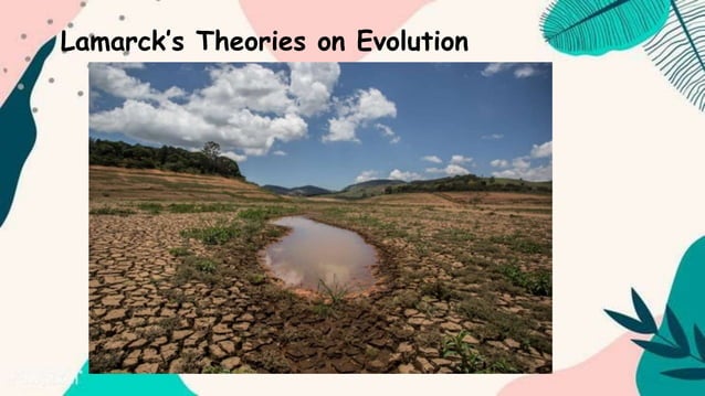 THEORIES of Evolution.pptx