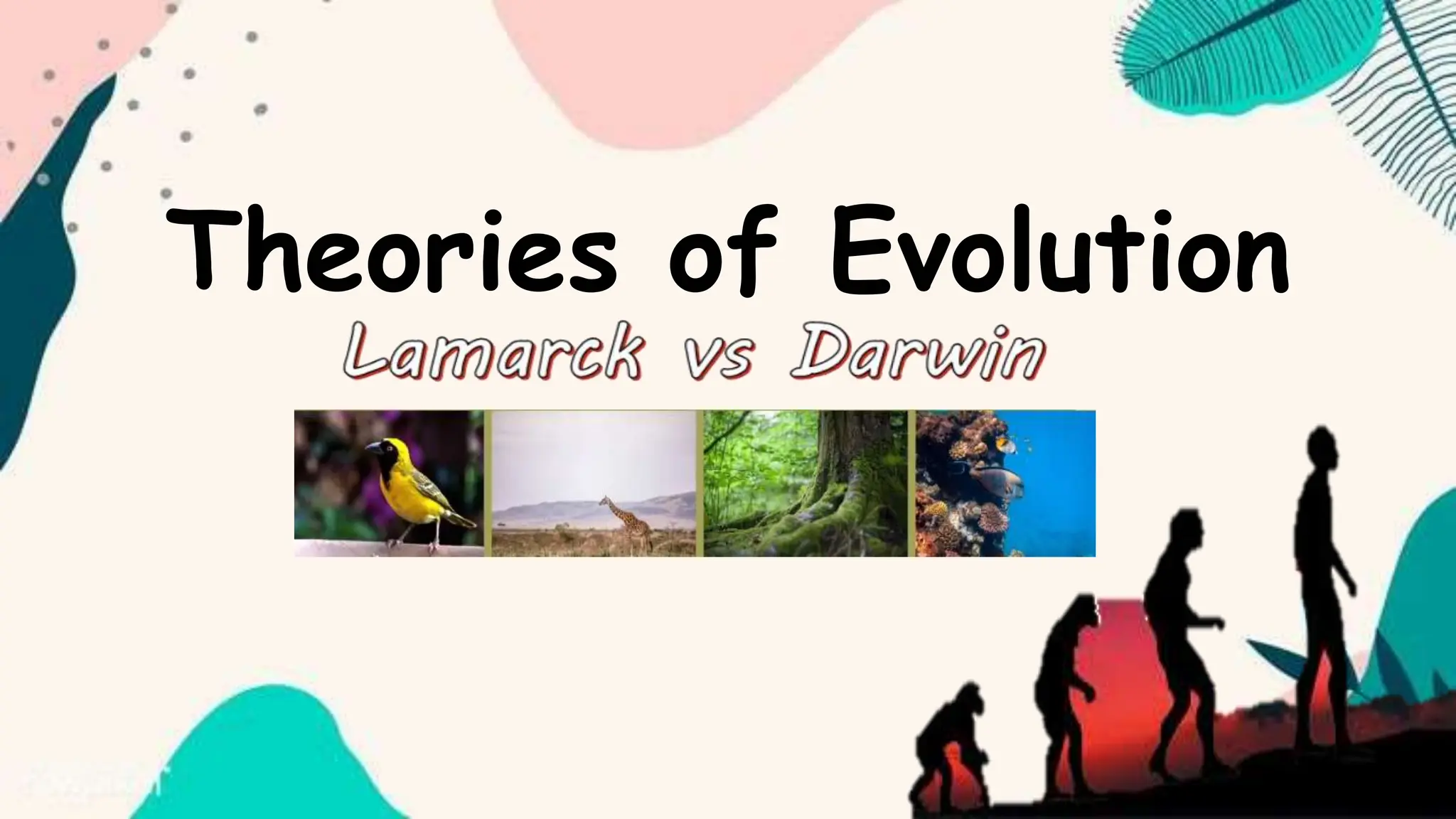 THEORIES OR OCCURRENCE OF EVOLUTION .pptx