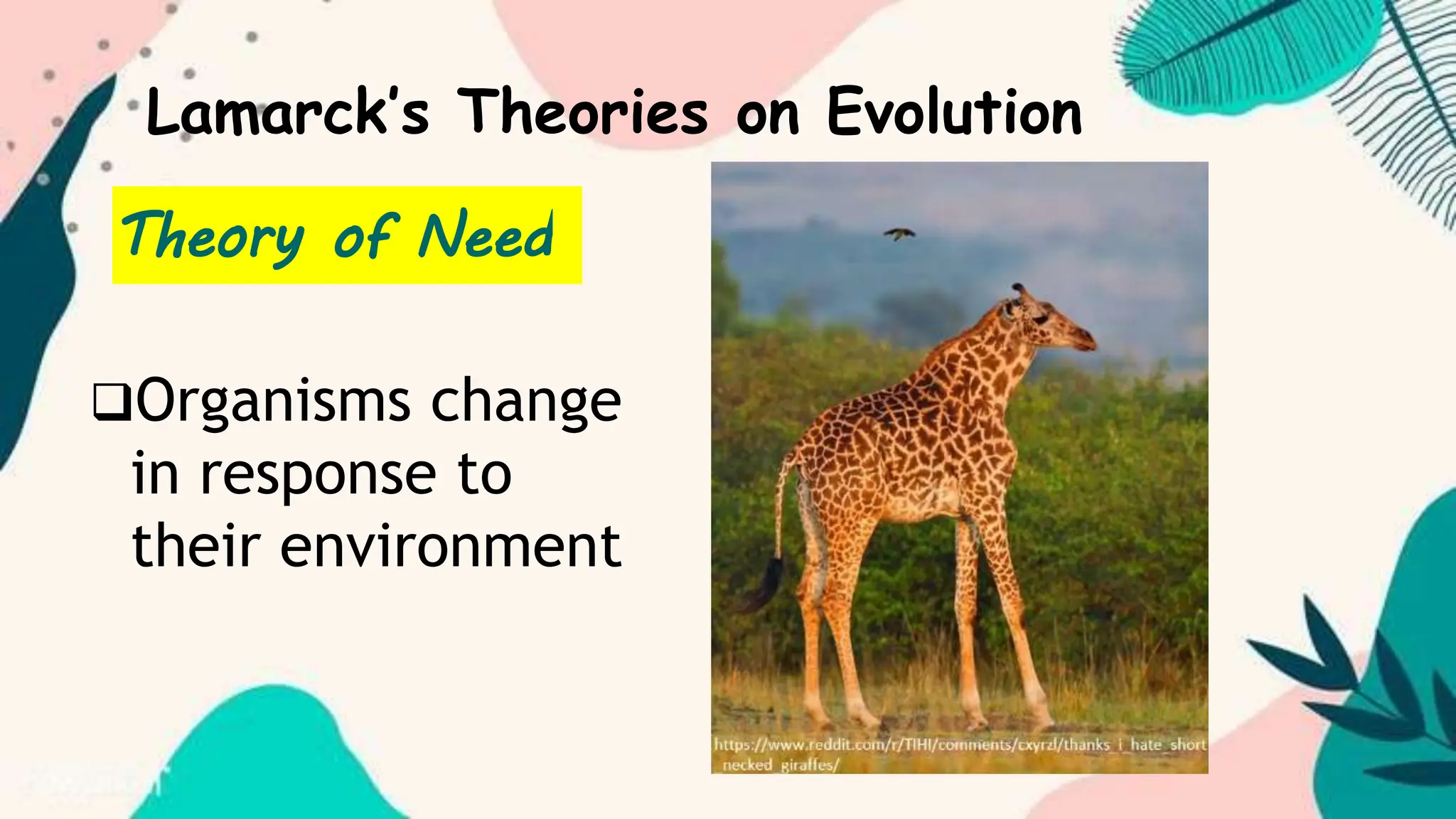 THEORIES OR OCCURRENCE OF EVOLUTION .pptx