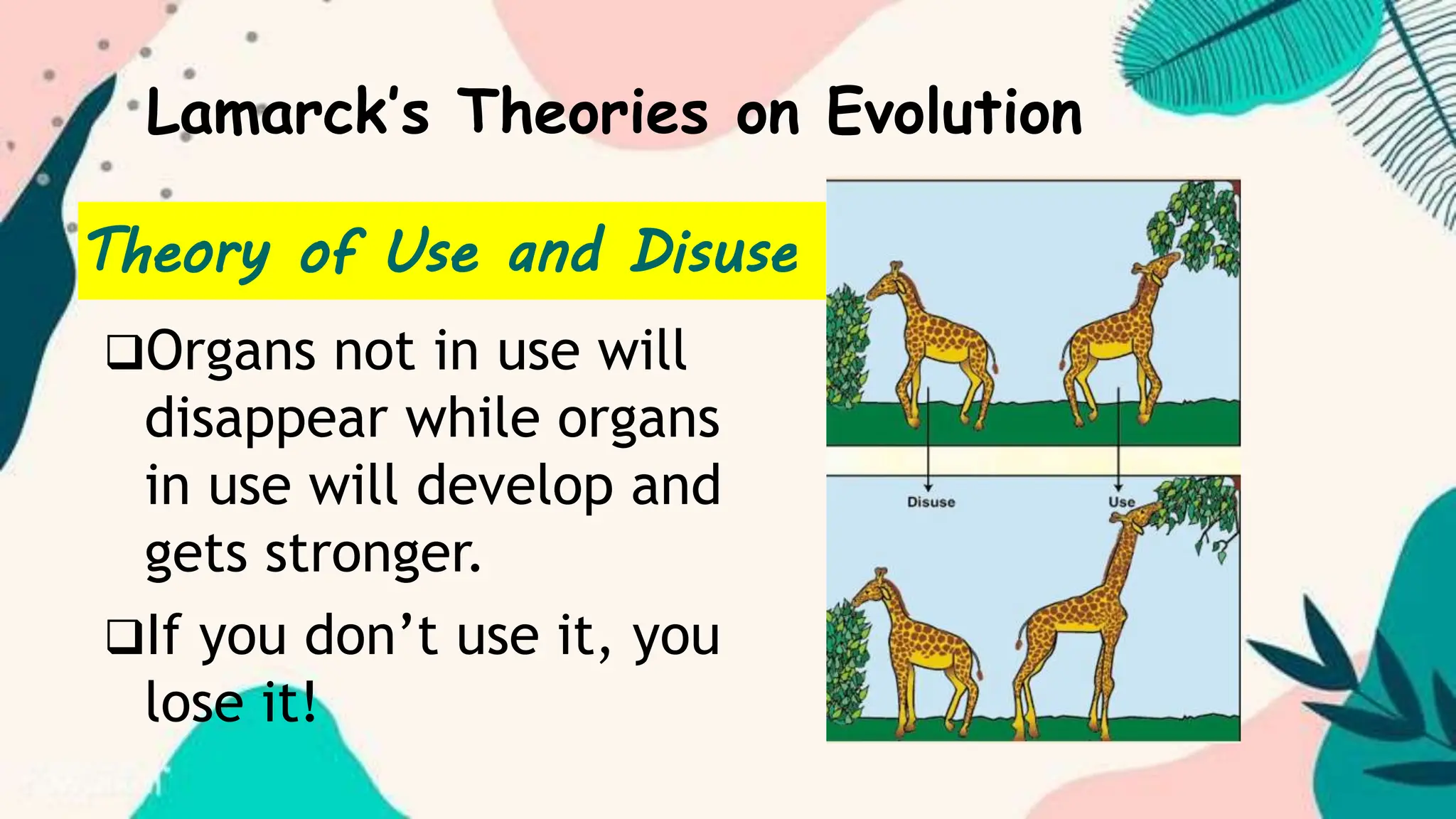 THEORIES OR OCCURRENCE OF EVOLUTION .pptx
