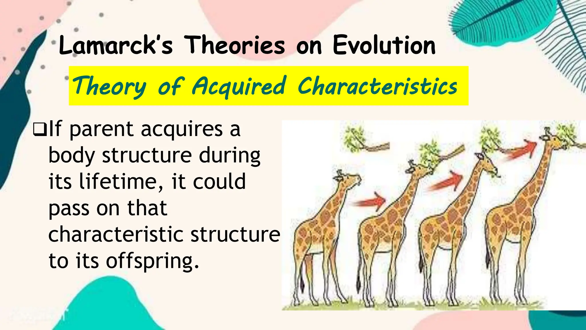 THEORIES OR OCCURRENCE OF EVOLUTION .pptx