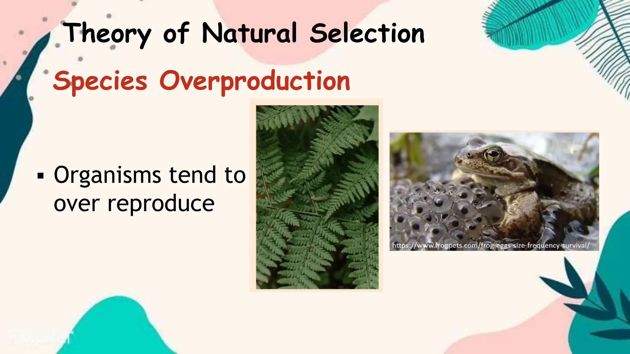 THEORIES OR OCCURRENCE OF EVOLUTION .pptx