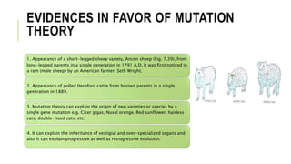 Theories of evolution other than modern synthetic theory | PPT