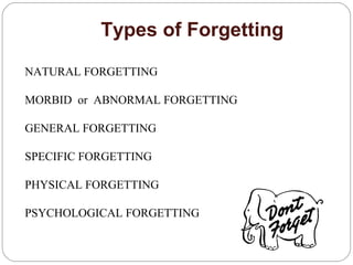 Theories of forgetting | PPT