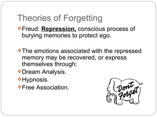 Theories of forgetting | PPT