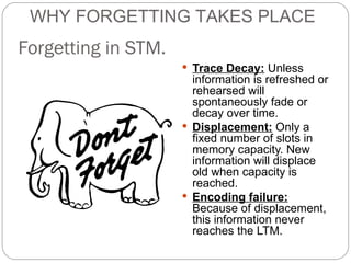 Theories of forgetting | PPT
