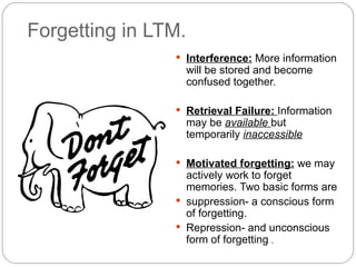 Theories of forgetting | PPT