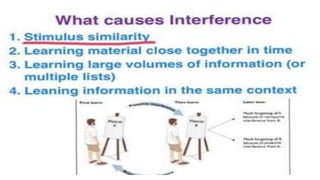 interference theory of forgetting | PPTX
