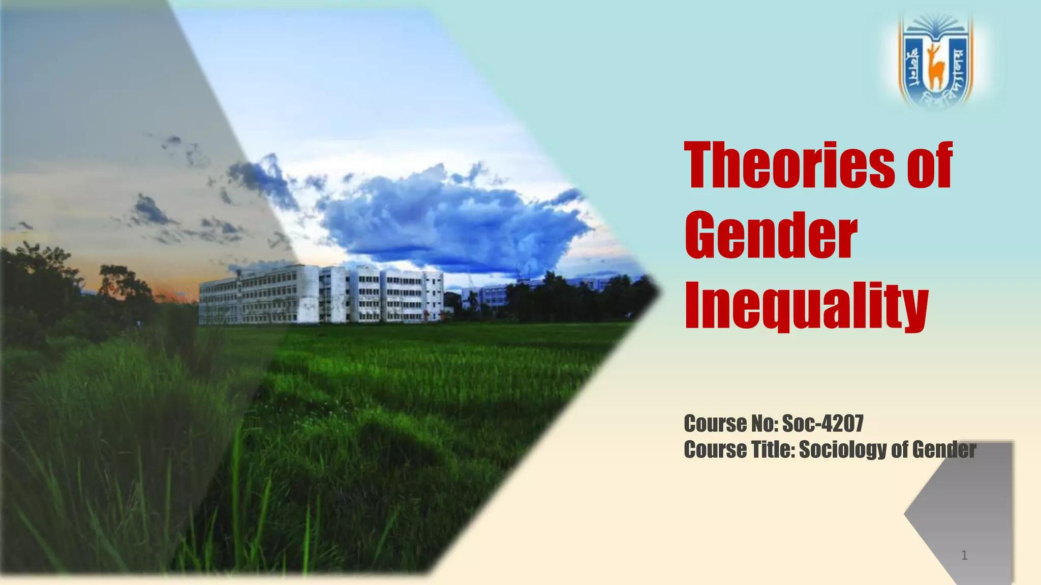 Theories of gender inequality | PPTX