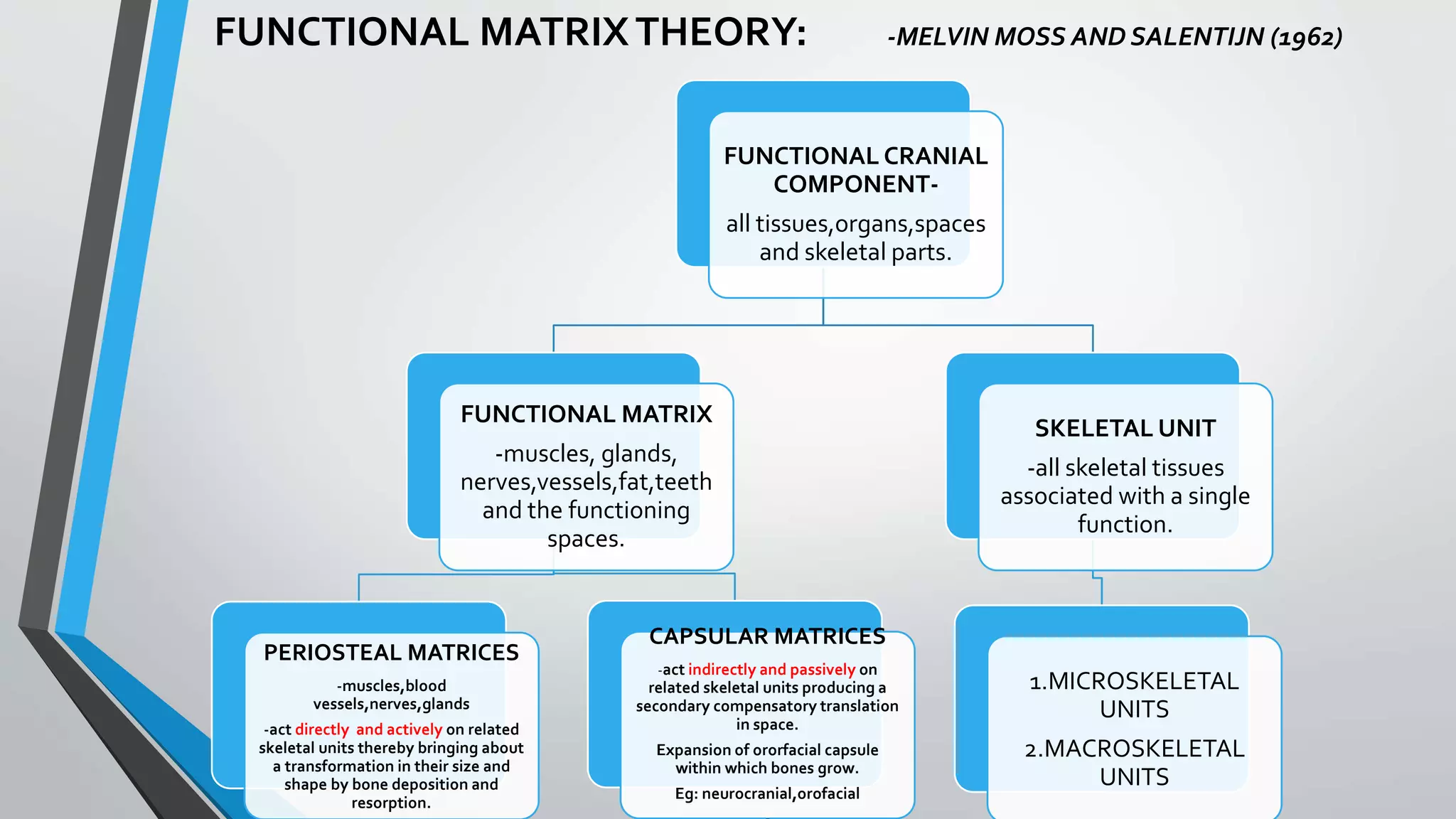 Theories of growth | PPTX