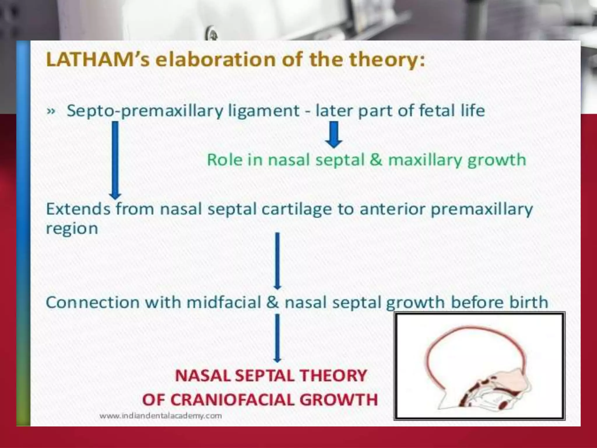Theories of growth | PPTX