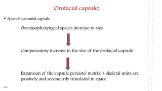 Theories of growth -orthodontics and dentofacial orthopedics | PPTX
