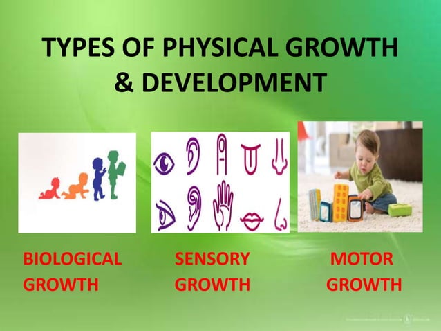 Theories of growth and development | PPTX | Parenting Babies and ...