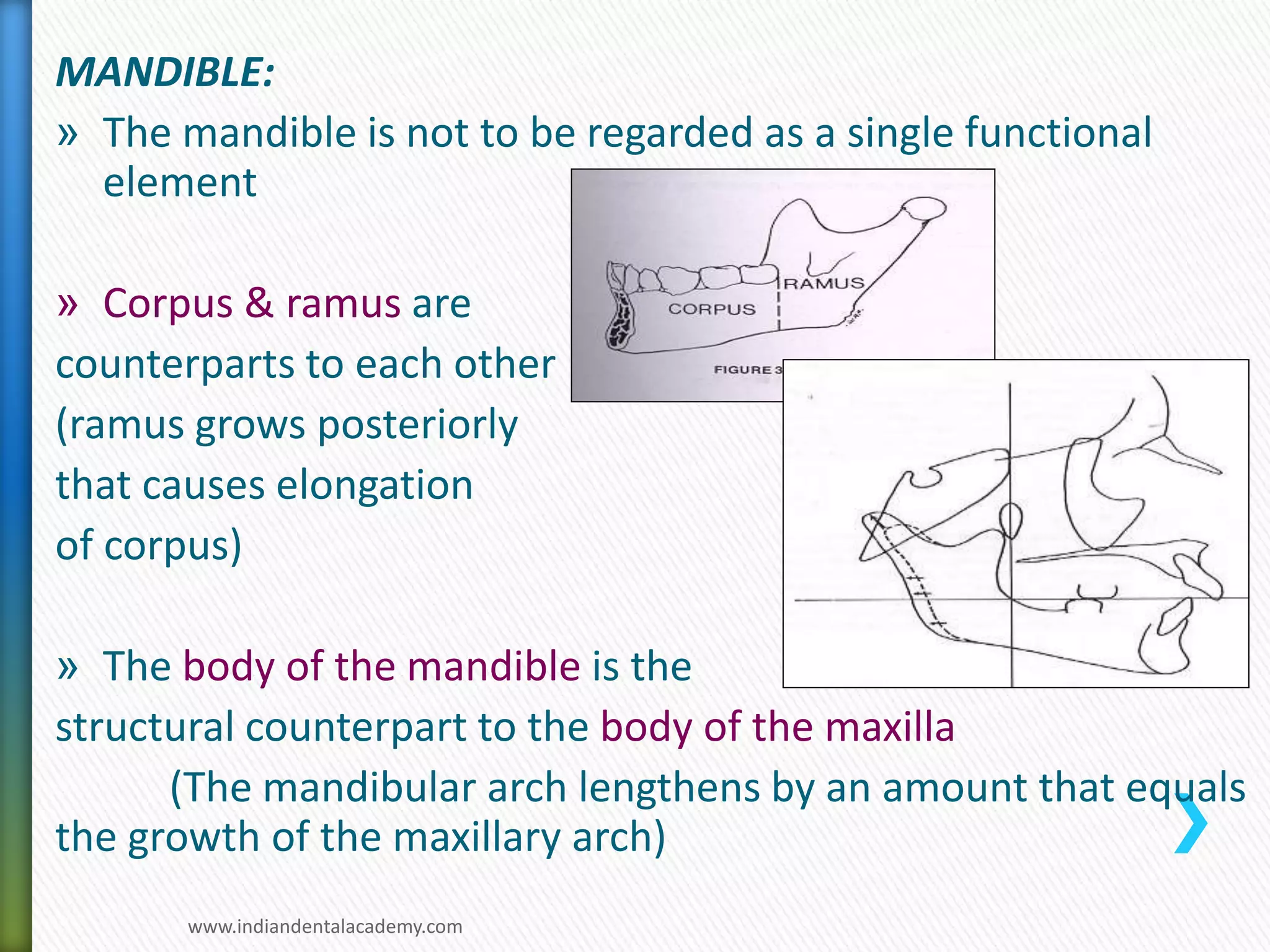 Theories of growth | PPTX