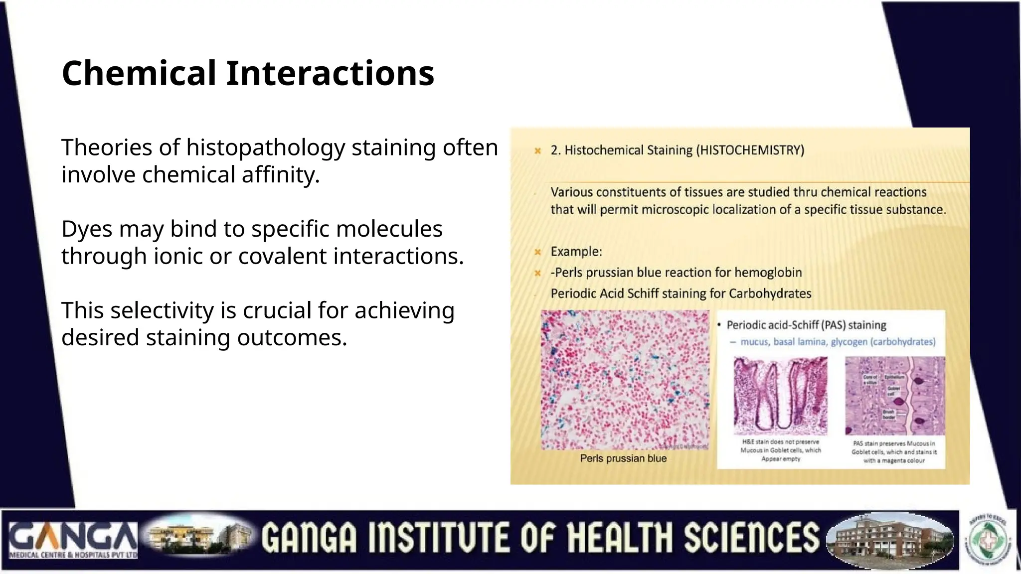 Theories Of Histopathology Staining.pptx