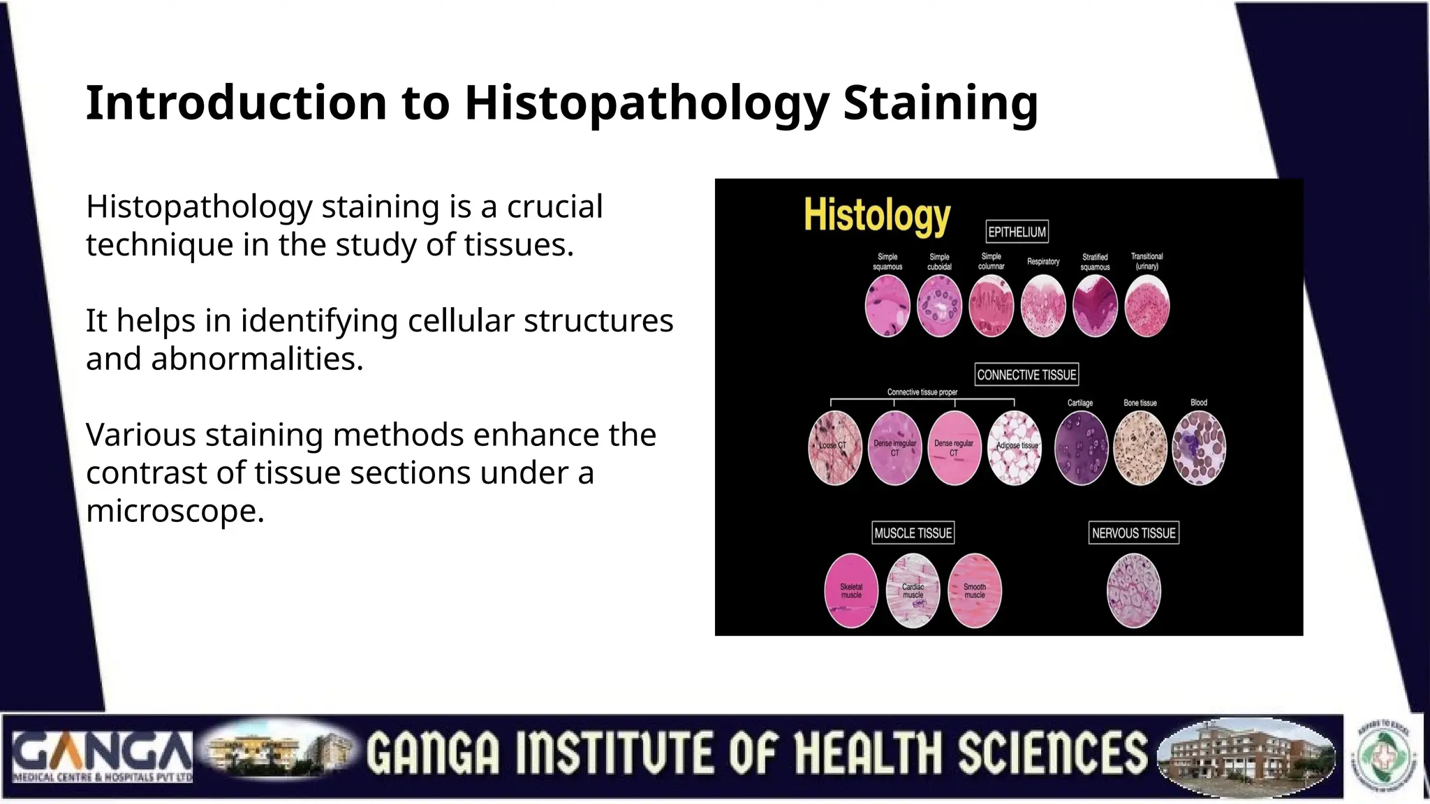 Theories Of Histopathology Staining.pptx