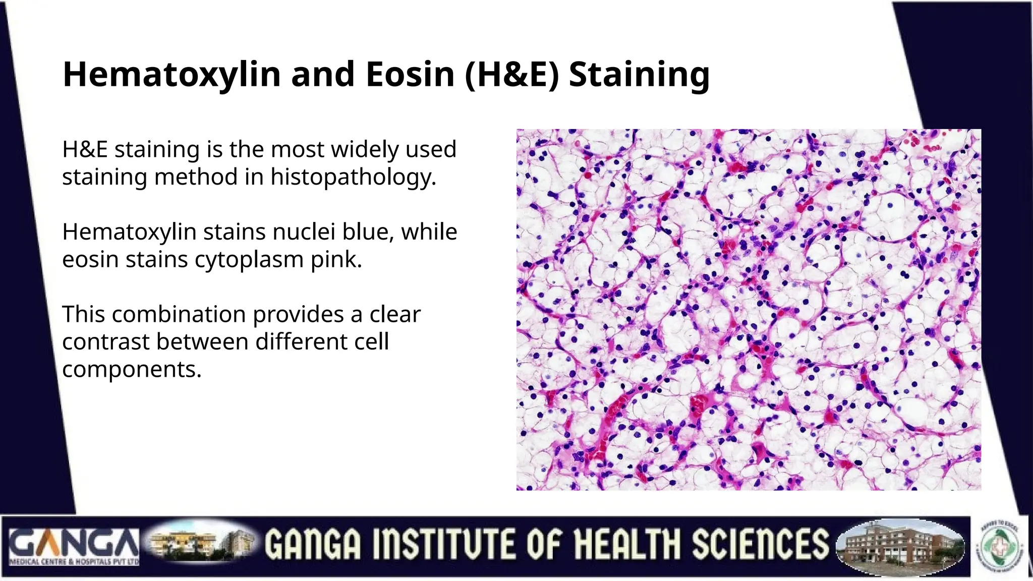 Theories Of Histopathology Staining.pptx