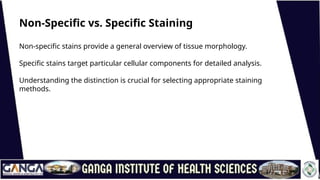 Theories Of Histopathology Staining.pptx