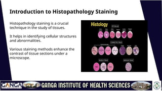 Theories Of Histopathology Staining.pptx