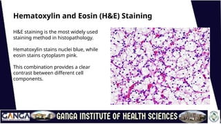 Theories Of Histopathology Staining.pptx