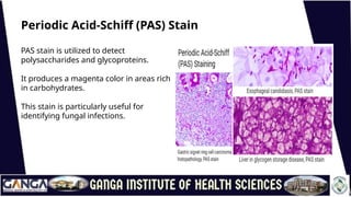 Theories Of Histopathology Staining.pptx