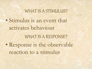 Theories of learning Power Point Presentation | PPTX