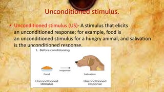 Theories of learning | PPT