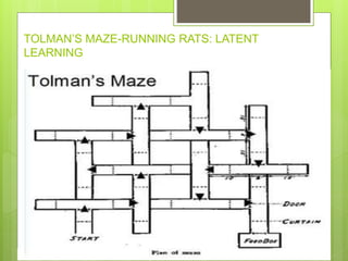 Theories of learning | PPTX