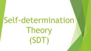 Theories of Learning.pptx