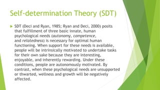 Theories of Learning.pptx