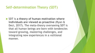 Theories of Learning.pptx
