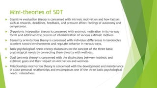 Theories of Learning.pptx