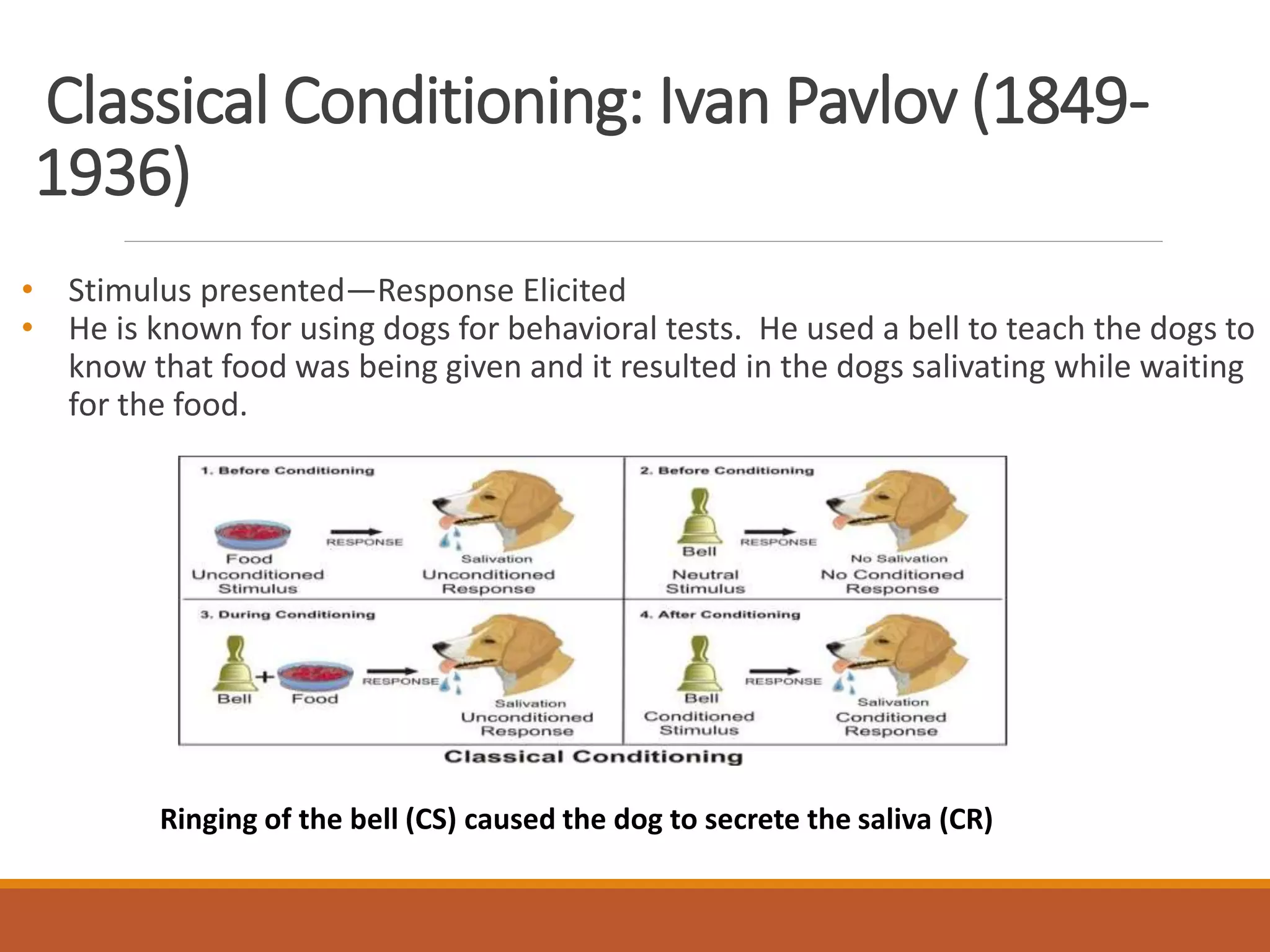 theories of learning.ppt