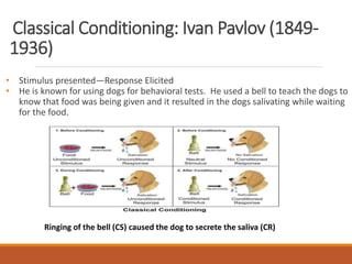 theories of learning.ppt