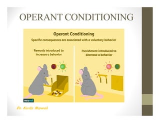 Theories of Learning of Sports Psychology | PDF