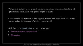 Theories of mineralisation | PPTX
