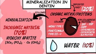 Theories of mineralisation | PPTX