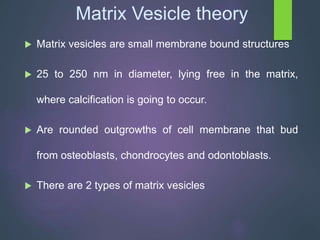 Theories of mineralization | PPTX