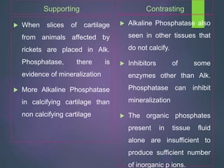 Theories of mineralization | PPTX