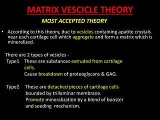 THEORIES OF MINERALIZATION final powerpoint | PPT