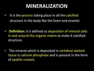 THEORIES OF MINERALIZATION final powerpoint | PPT