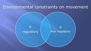 Theories of motor control | PPSX