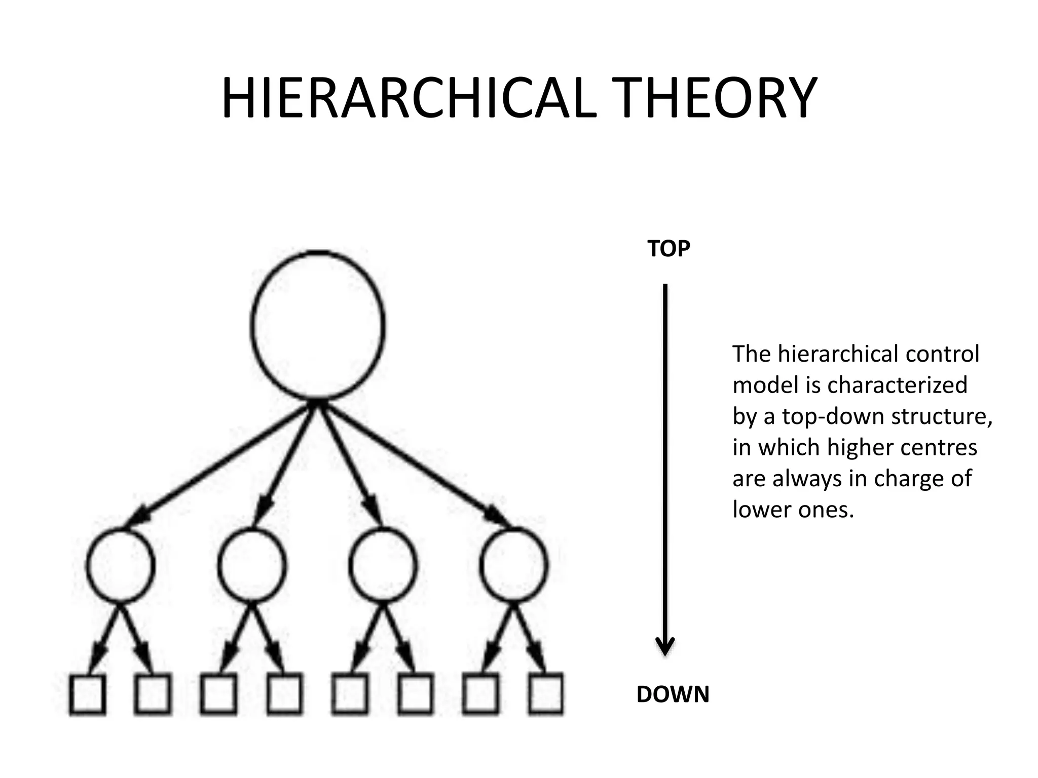 Theories of Motor Control | PPTX