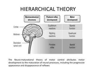 Theories of Motor Control | PPTX