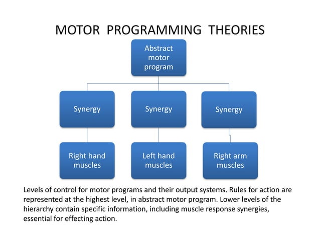 Theories of Motor Control | PPTX | Physical Therapy | Wellness